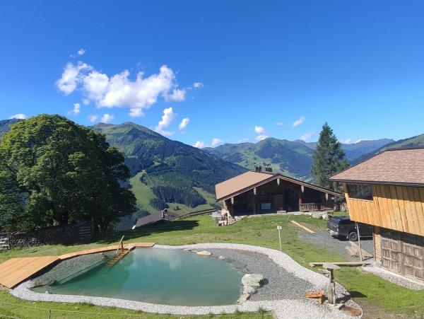 Sinnlehen Alm - Saalbach-Hinterglemm