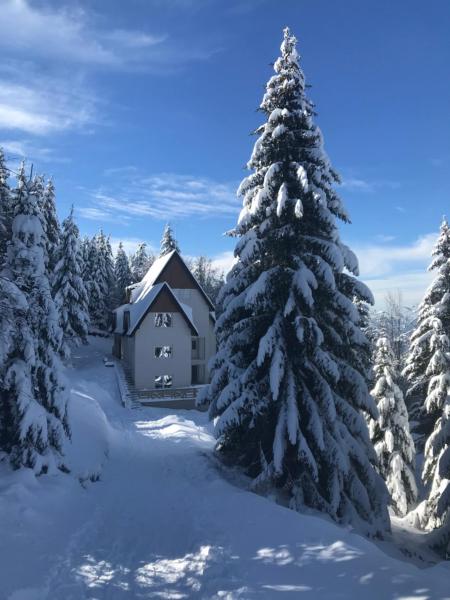 Pekakop Treska - Kopaonik