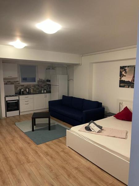 Tranzzit Airport Apartament I - Bucharest Henri Coandă Airport (OTP)