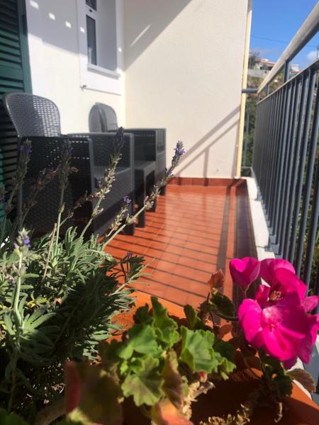 Sunshine Room - Madeira