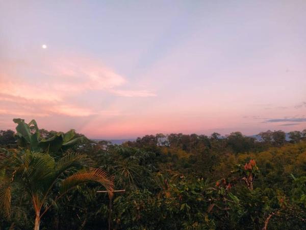 Finca Los Martinez - Tamesis - Vereda San Isidro - Colombie