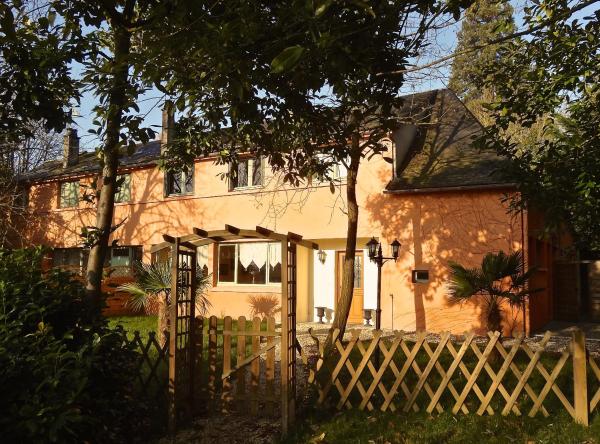 Grande Villa En Touraine - La Roche-Posay