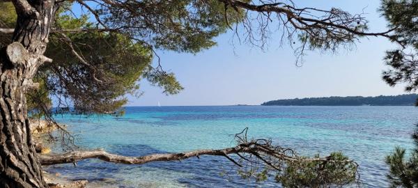 Les Grenadines Du Samedi Au Samedi - Antibes