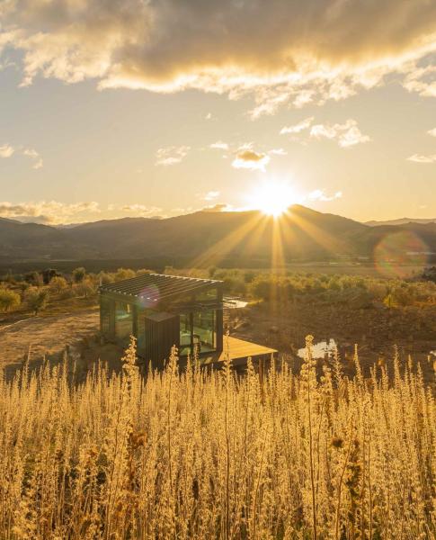 Haurapa Purepod - Cromwell