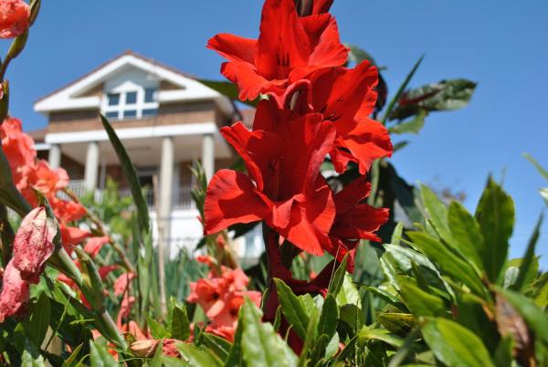 Fuente El Hayedo - San Vicente de la Barquera