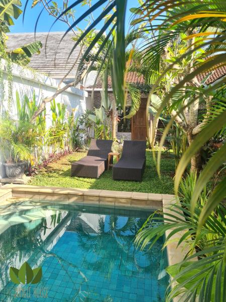 The Jungle House - Canggu