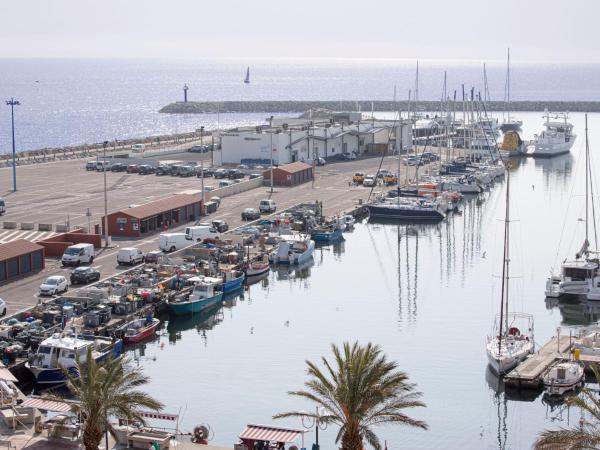 Apartment Ibis-2 By Interhome - Saint-Cyprien Plage