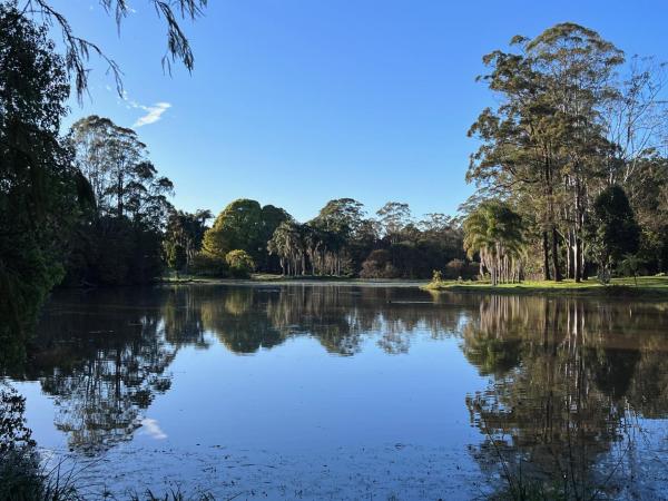 Harmonic Haven - Montville