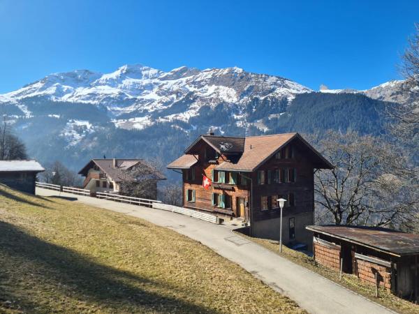 Traditional Chalet In Wengen - Top Floor - Lauterbrunnen