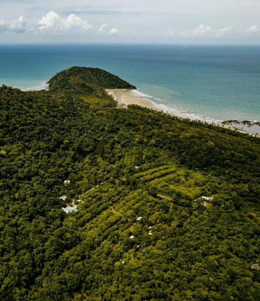 Cape Trib Farm - Queensland