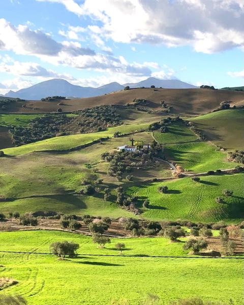 Finca Las Campanas Ii - Andalusië