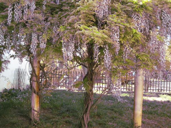 Grand Argence - Beaucaire