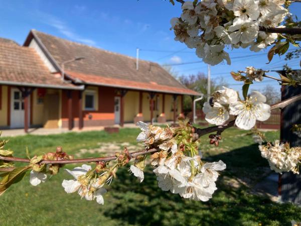 Tiszavirág Vendégház - Hungary