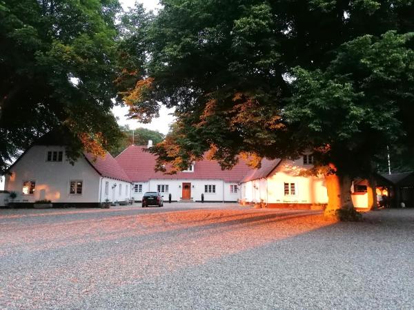 Apartment In Danmark- Agernaesgaard Otterup - Denmark
