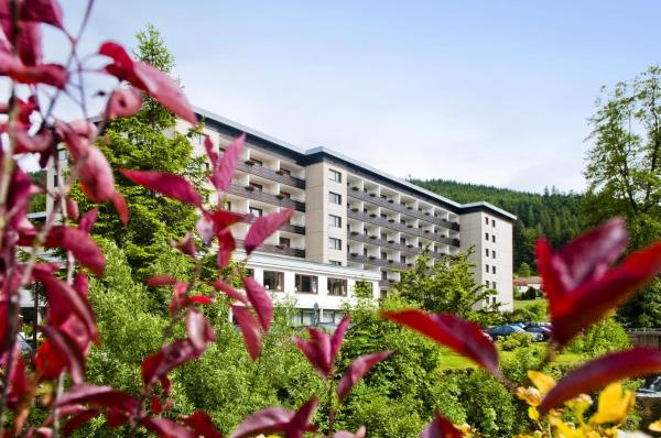 Rechtmurg 27 - Bad Peterstal-Griesbach