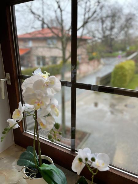 Suite Sz-lichtenberg - Salzgitter