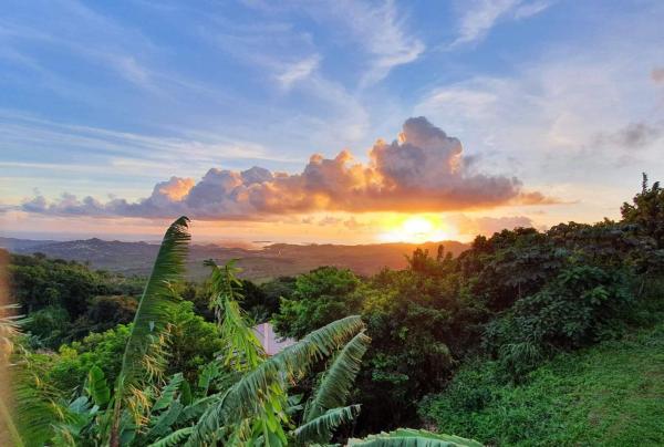 La Perle Caribéenne - Martinique