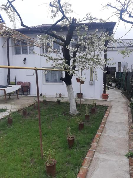 Casa - Craiova