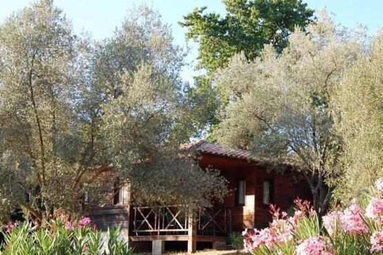 Gites Chalets De Grosseto-prugna - Corse-du-Sud