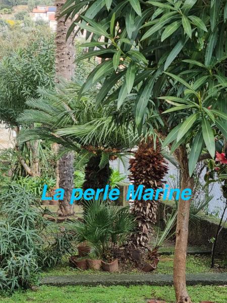 La Perle Marine - Diano Marina
