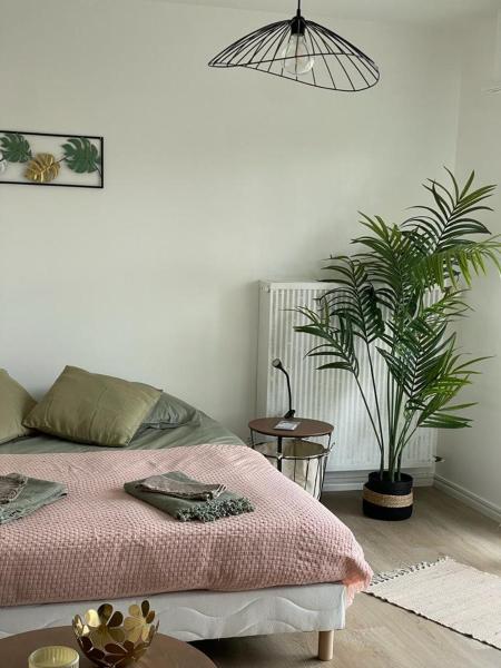 Studio T à 5mn Euro Airport Avec Terrasse - Ibis Aéroport Bâle Mulhouse