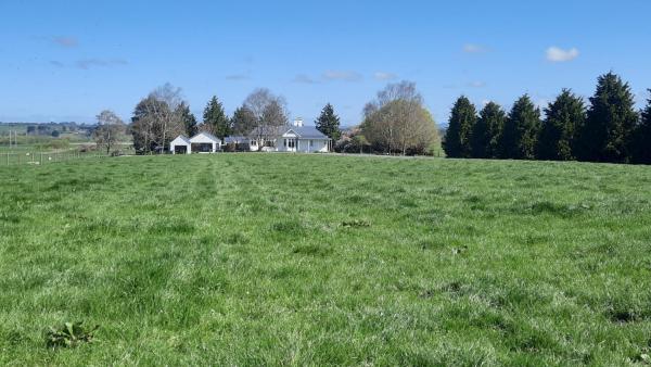 Greenfield Country Homestay - Balclutha