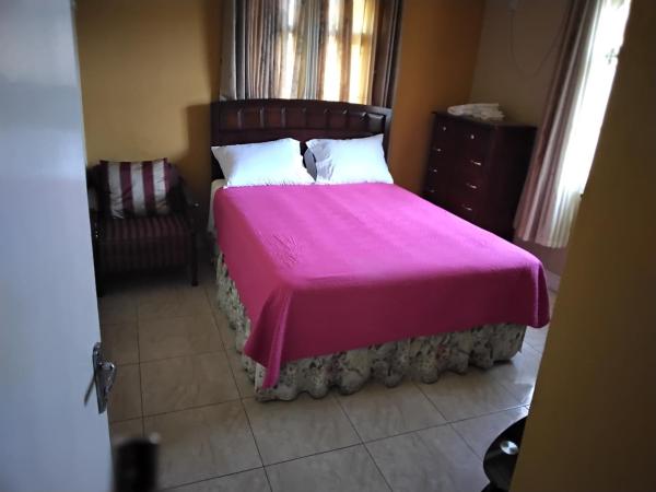 Cozy Apartment 4 - Kingston (Jamaica)
