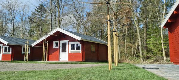 Vakantiepark 'T Urkerbos - 4 Persoons Brabantse Blokhut - Urk