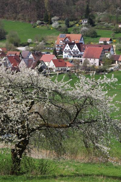 Landidyll Hotel Zum Alten Schloss - Reichenschwand