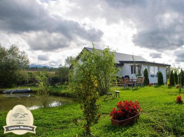 Linistea Muntilor Chalet - Roumanie