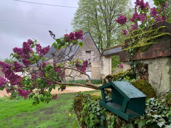 La Grange D Ave - Tours