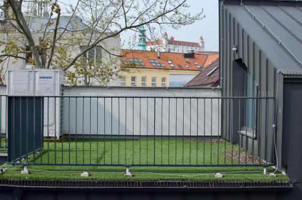 Wild Elephants Hostel - Bratislava