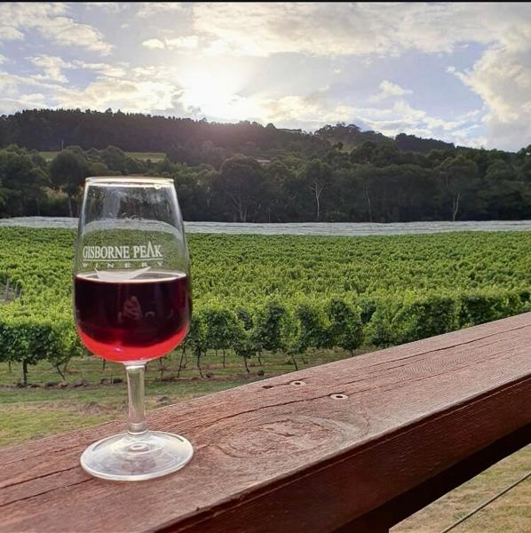 Gisborne Peak Winery Short Term Stays - Gisborne