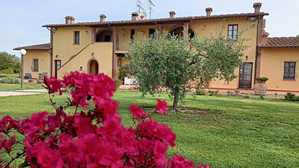 Il Chiassetto Agriturismo No Kids - Pontedera