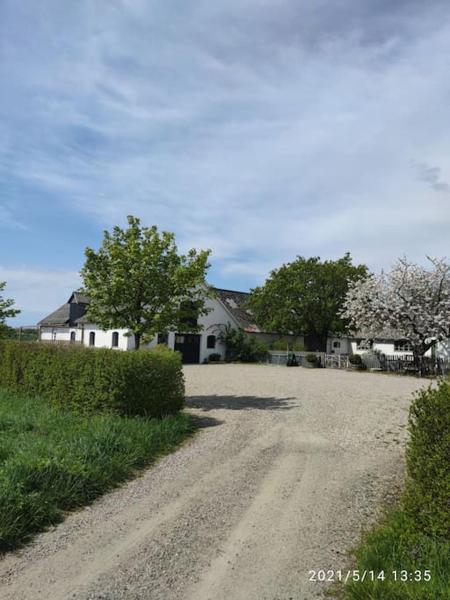 ÖJa - Ystad