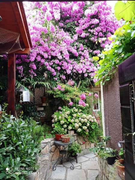 Apartman I Sobe ČUle Cres - Cherso