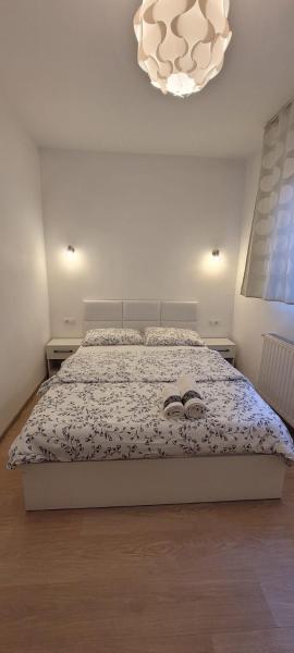 Golden Stars Malca - Arad