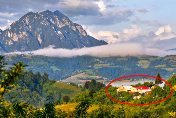 Vila Pe Deal In Poiana Marului - Transylvania