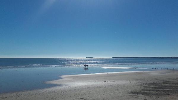 Views Of Youghal Bay - Youghal