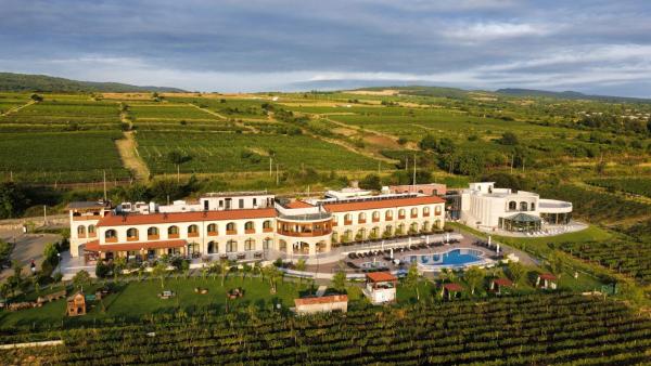 "Akhasheni Wine Resort" - Georgia