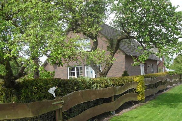 Ferienwohnung Aurich Ostfriesland - Aurich