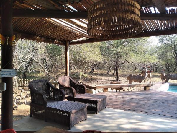 4609 Ratel - Marloth Park