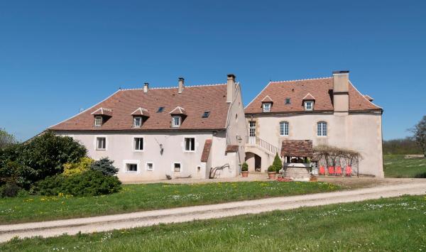 Viola - Vézelay