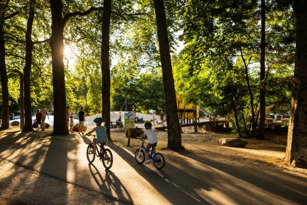 Rcn Het Grote Bos - Wijk bij Duurstede