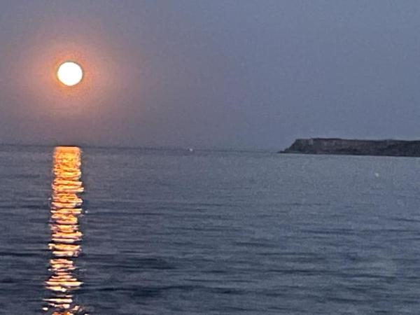 Hot Tub, Newly Refurbished 4 Bed, Dog Friendly. - Paignton