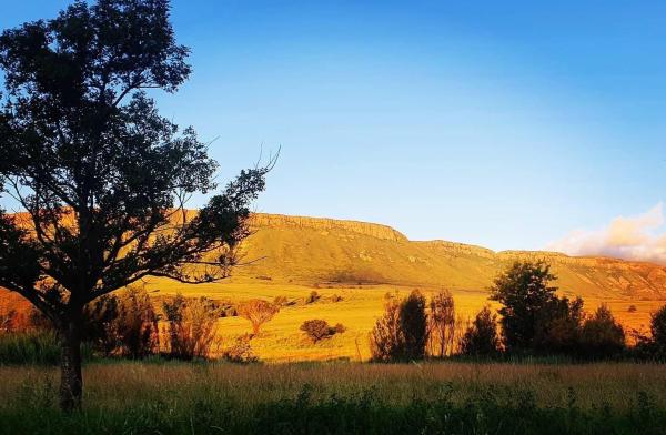 Summer Place - Harrismith