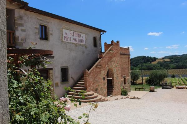 Fattoria Di Pieve Pagliaccia - Cantina Brugnoni - Assisi