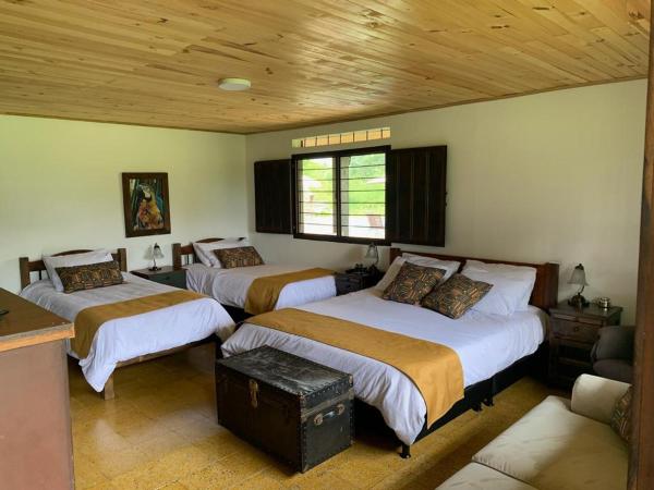 Alojamiento Rural Finca La Morena (Ecoturismo) - Buenavista