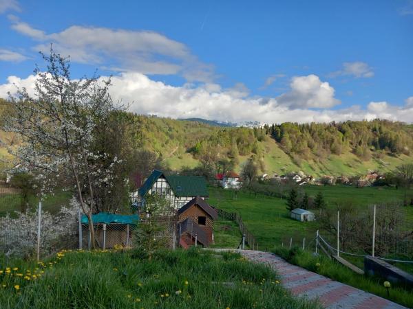 Pensiunea Brian - Transylvania