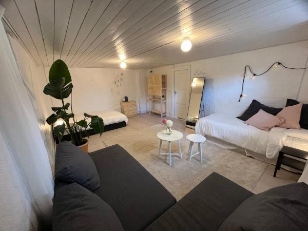 Spacious & Affordable City Stay, 8 Sleeps With Garden! - Göteborg